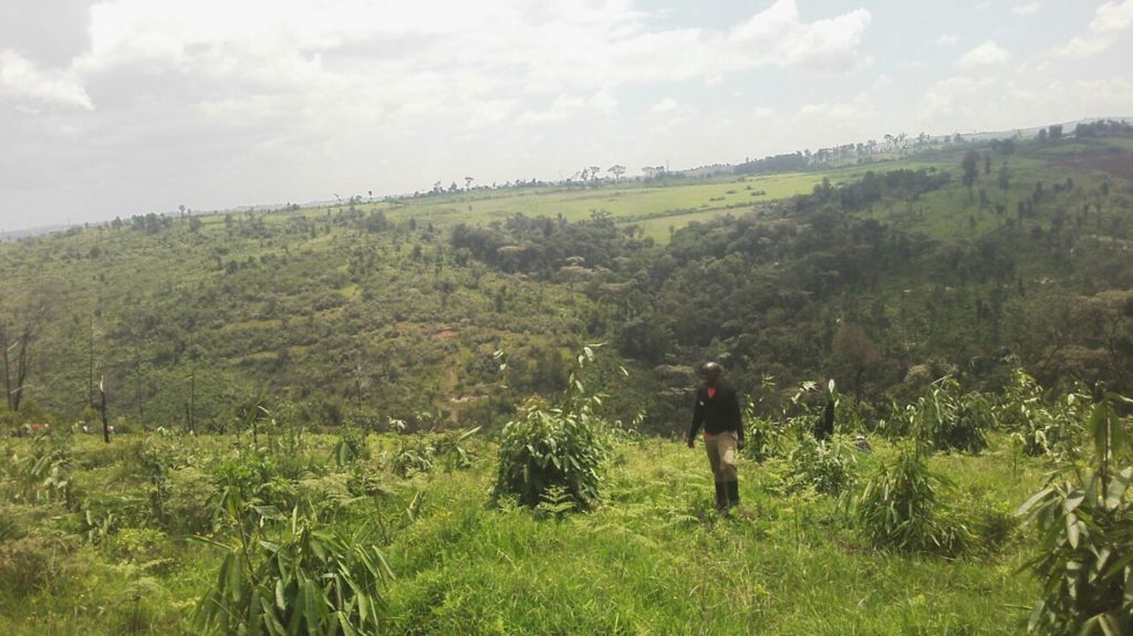 Busia County Launches Nasewa Industrial Park - Talk Africa