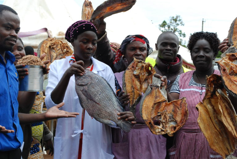 Fish Smuggling From Uganda Threatens Fish Trade in Busia