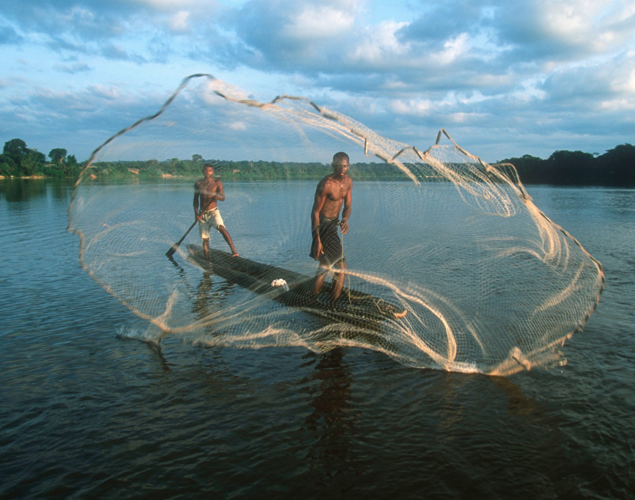 Opinion: Africa's Forgotten Fishes, A Goldmine for Millions