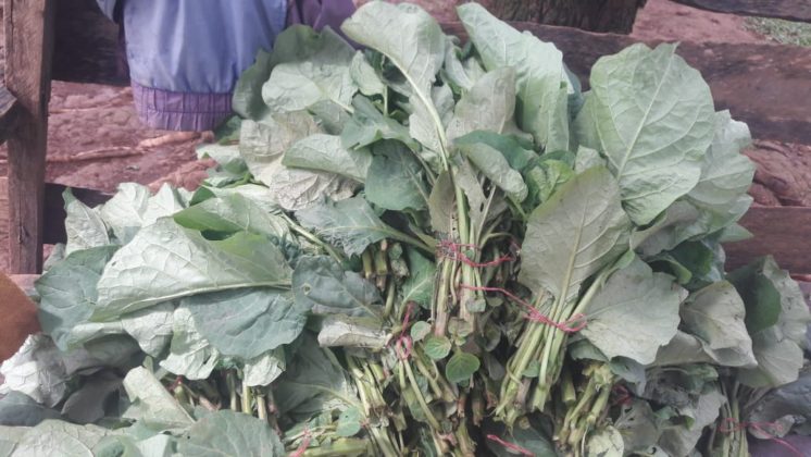 Bring Back Indigenous Vegetables on Your Table, Researchers Urge - Talk ...