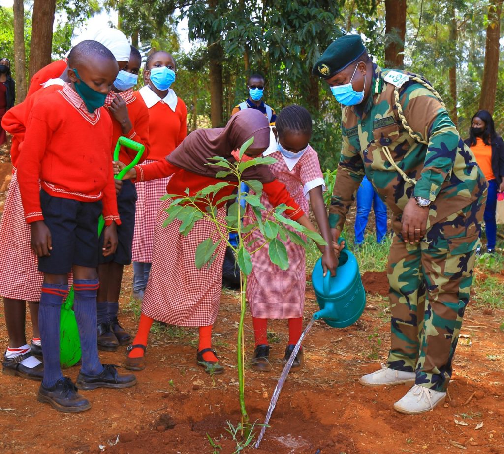 Cheleta Pupils Plant Fruit Trees to Boost Forest Cover and Nutrition ...