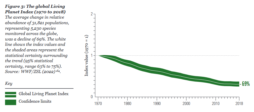 Global Wildlife Population Decline by 69% Experts Warn - Talk Africa Global Wildlife Population Decline by 69% Experts Warn - Talk Africa