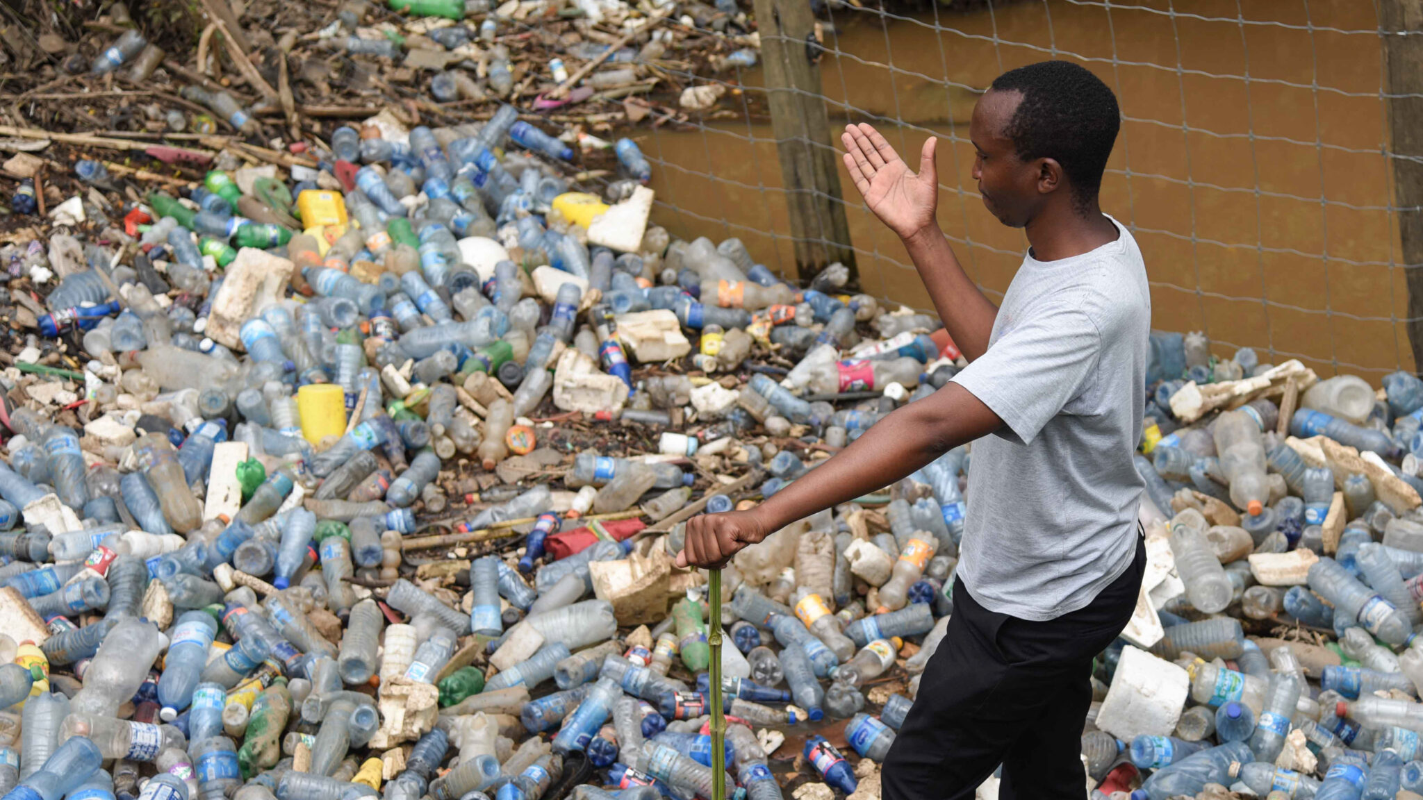 Fighting Pollution: Protecting the Environment Using Power of Pictures ...