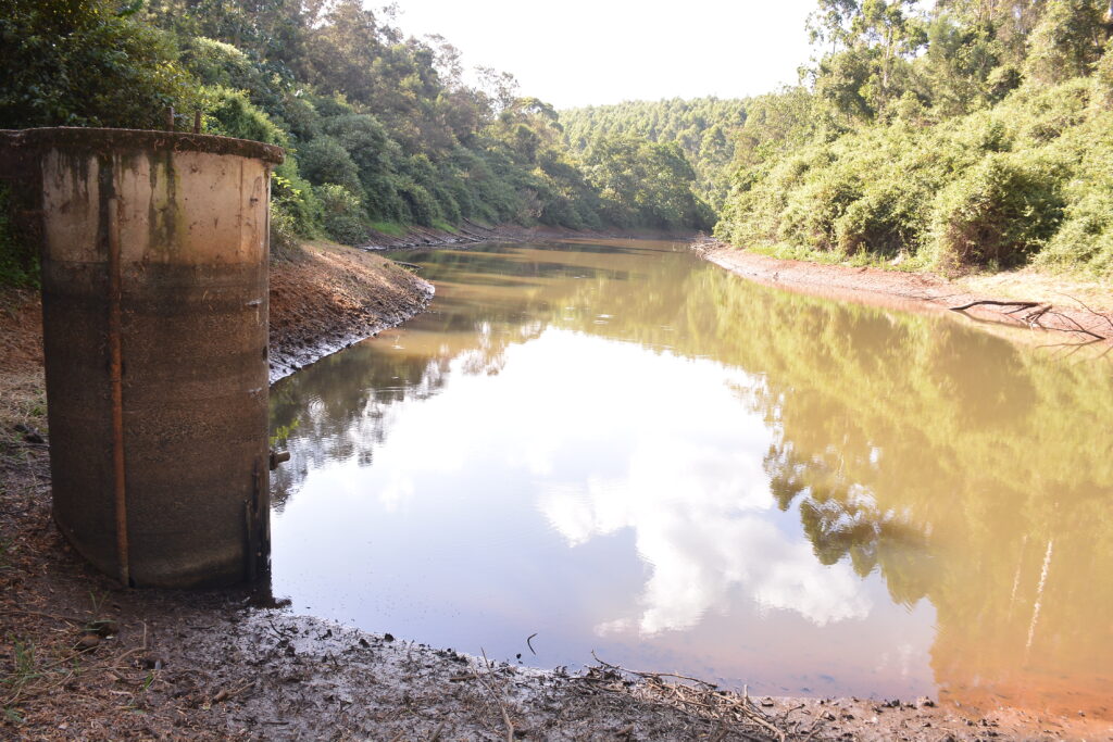 A Community Water Project that is Changing Lives of Kiambu Residents
